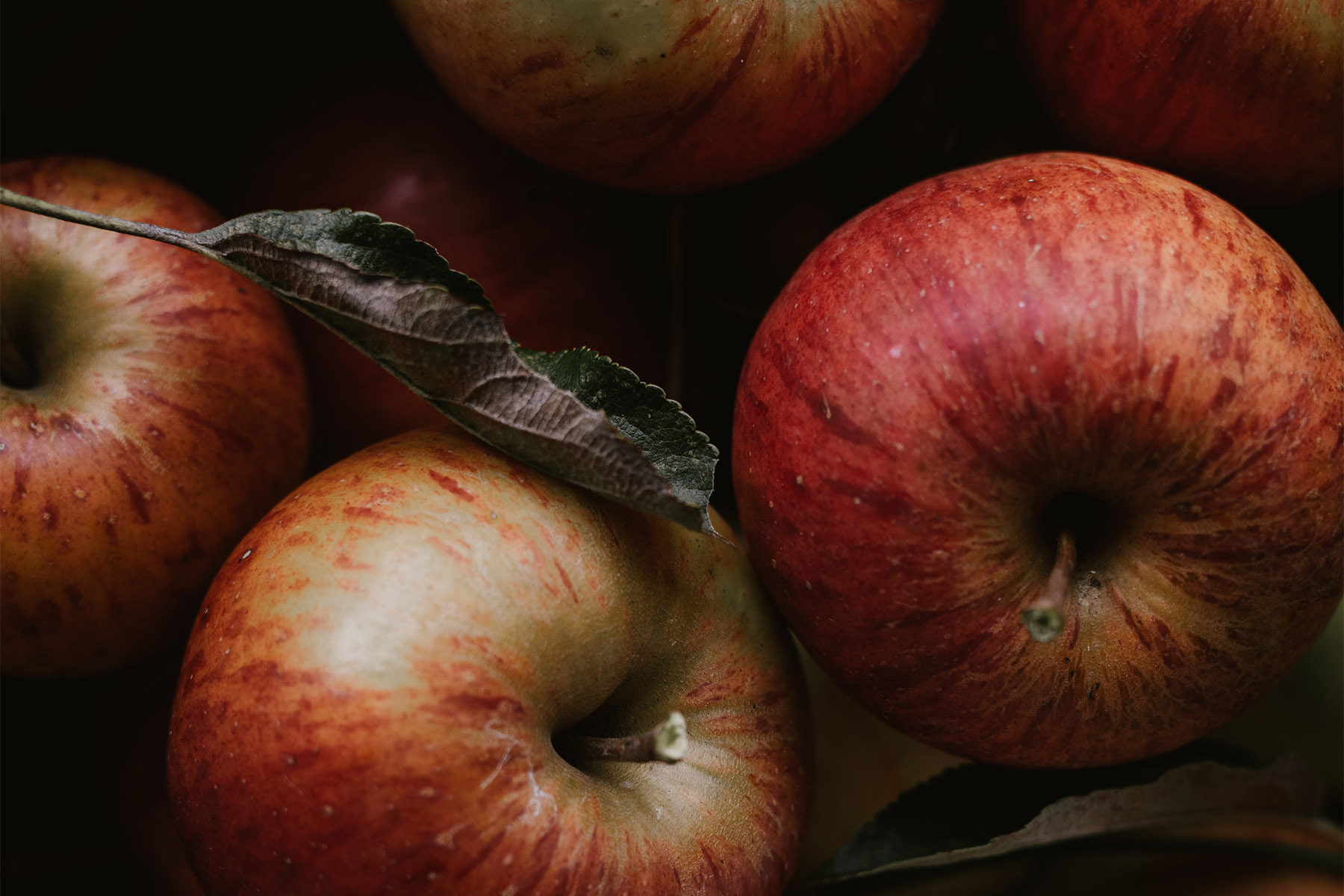 Ciders - Bull City Ciderworks